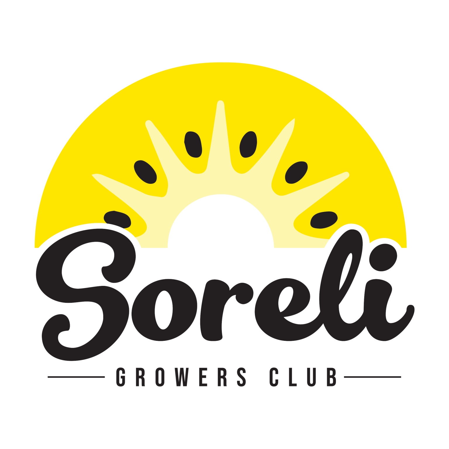 Soreli Growers Club | Premium Golden Kiwifruit Exporters in South Africa
